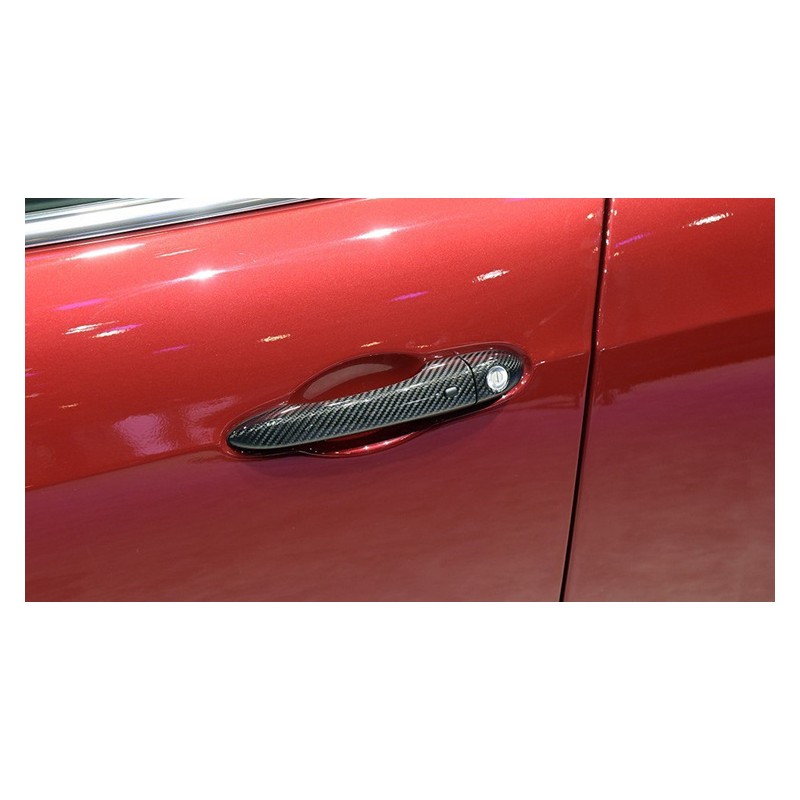 Hood Door Handle